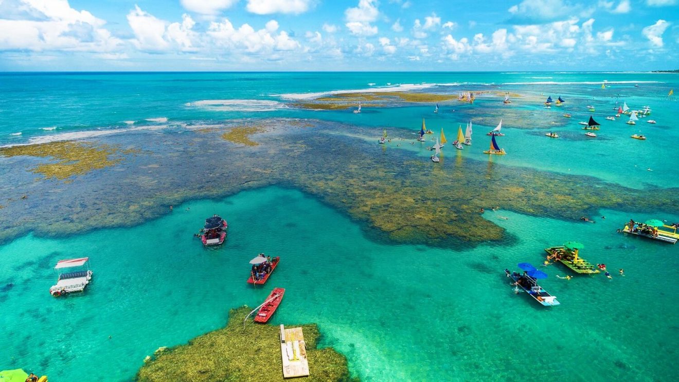 Por que visitar Maragogi? | Dicas de Viagem