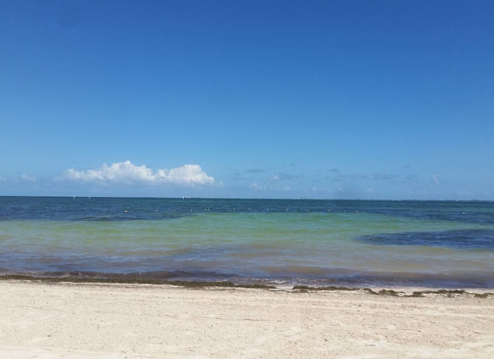 5 praias de Cancún que não podem faltar no seu roteiro | Roteiros